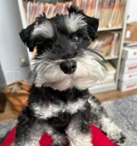 Homepage - Samantha Meeks Family Practice